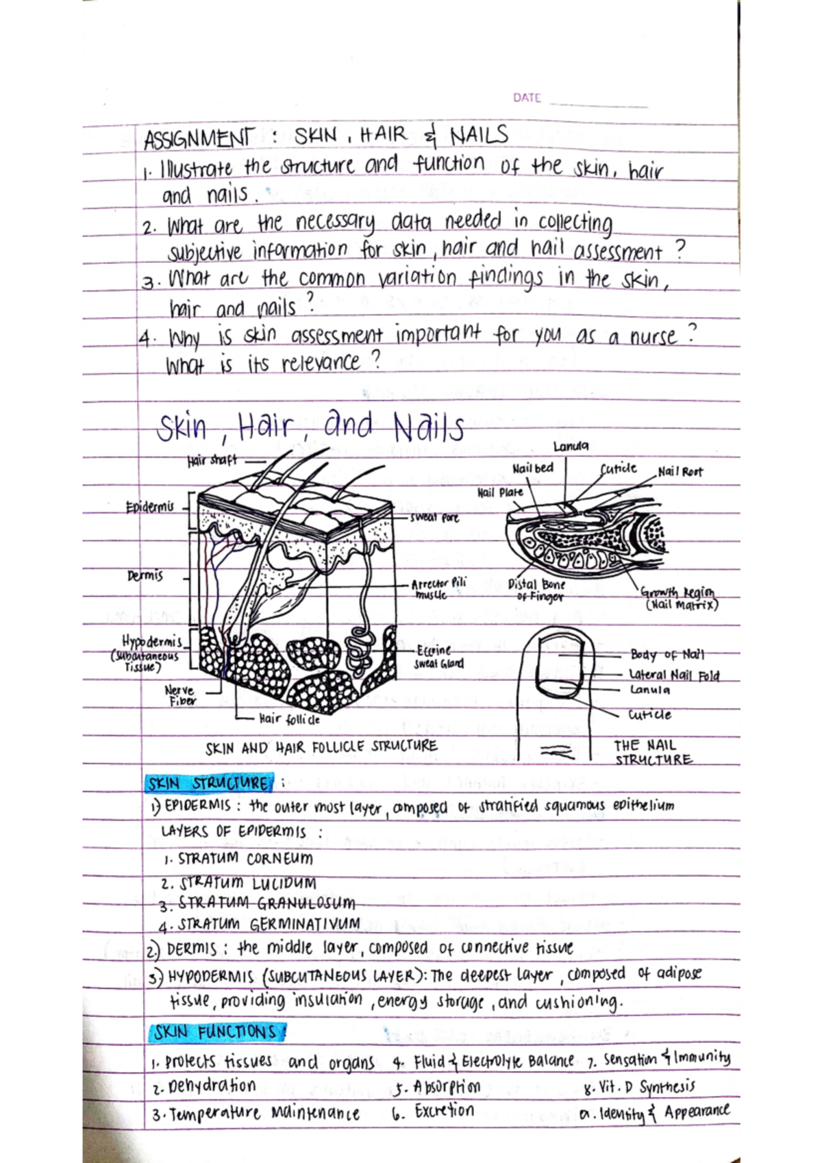 Alzate Assign Skin,Hair&Nail - DATE ASSIGNMENT : SKIN , HAIR NAILS 1 ...