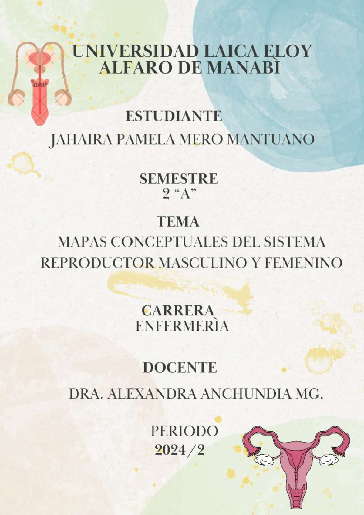 Mapas Conceptuales del Aparato Reproductor Masculino y Femenino ...