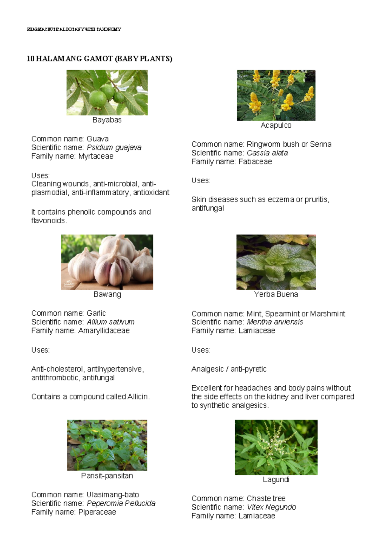 10 Halamang Gamot - mainly focuses on botany - 10 HALAMANG GAMOT (BABY ...