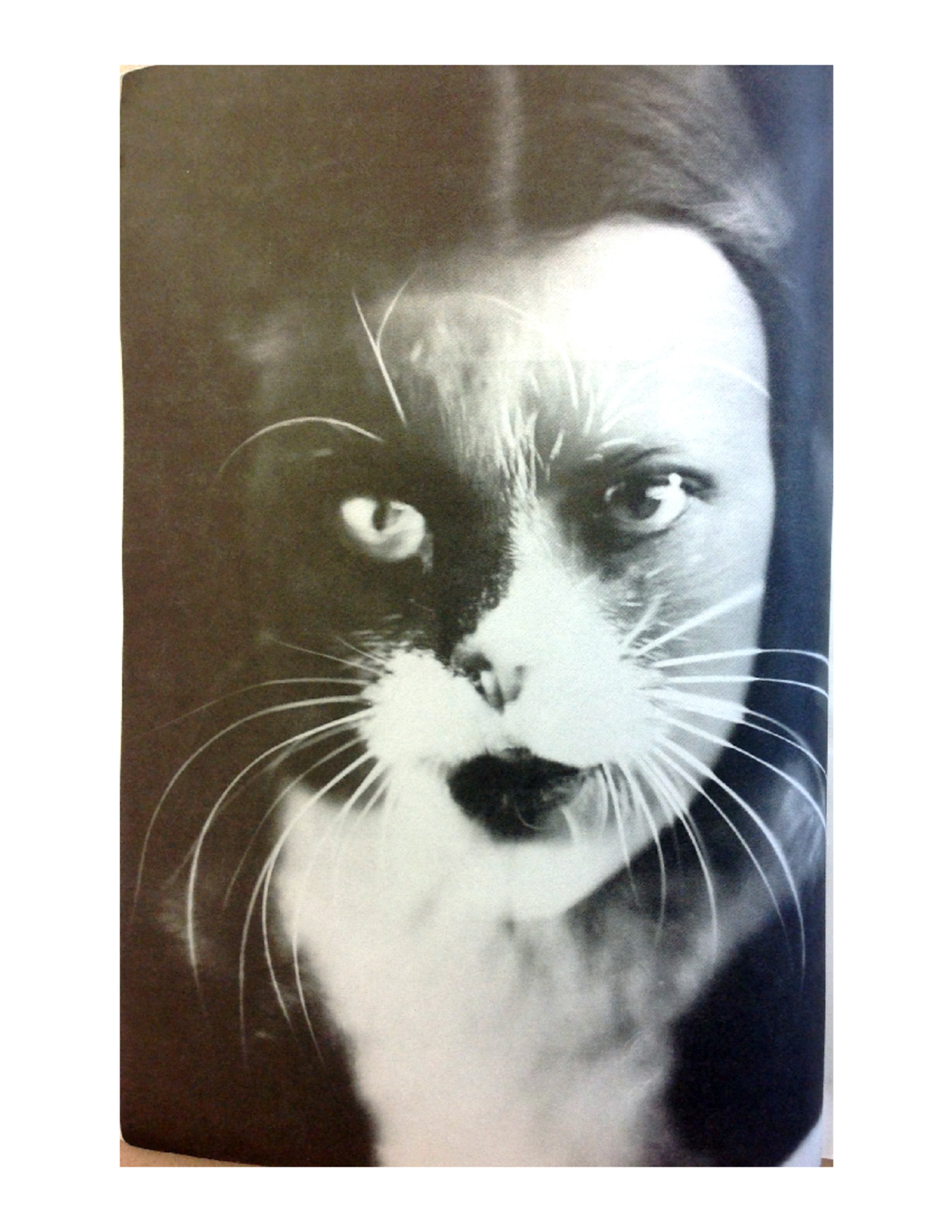 Wilding by jane yolen - please give me notes - WILDING JANE YOLEN Z ...