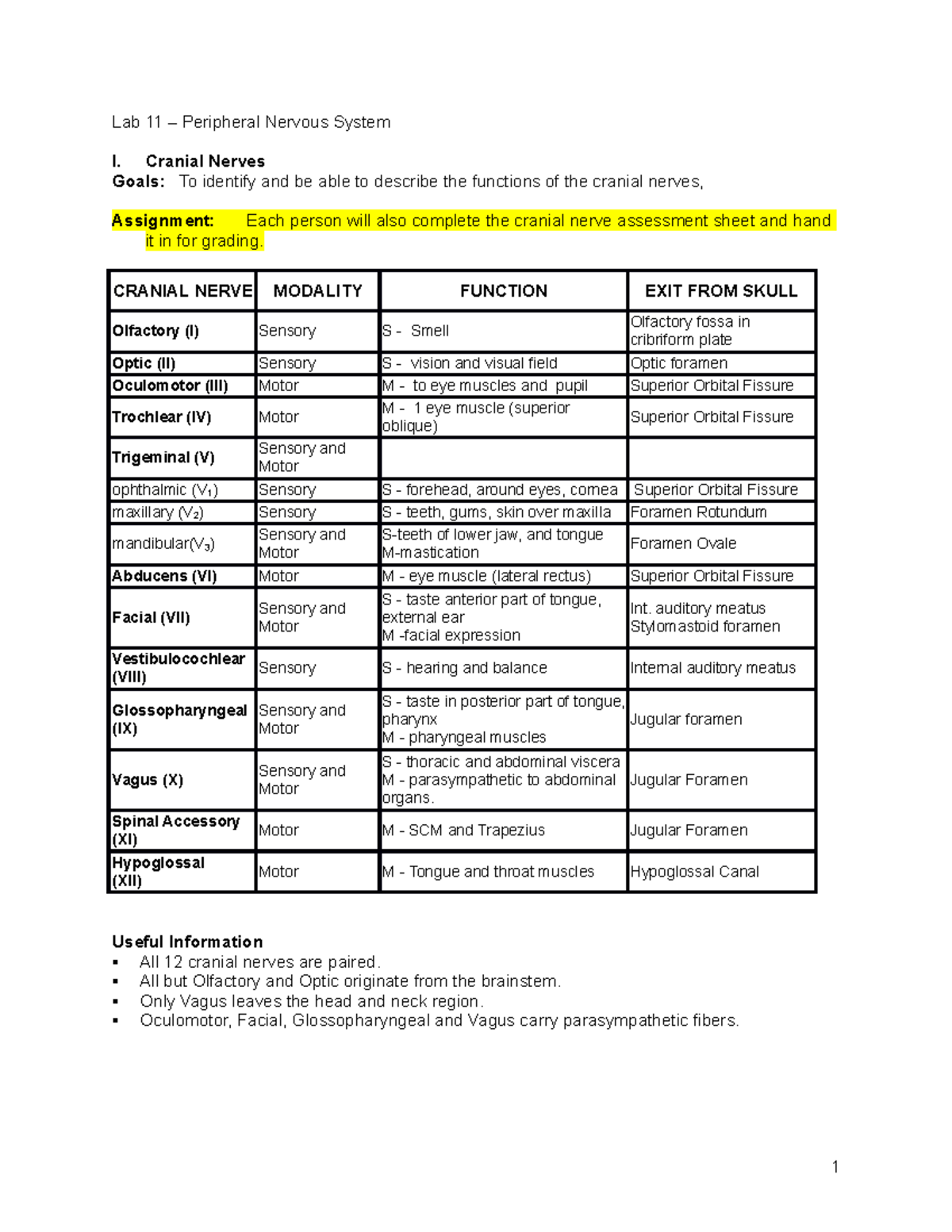 Lab 11 - PNS - for Peripheral Nervous System - Lab 11 – Peripheral ...