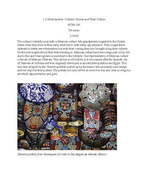 CJ 112 Module 4 assignment - CJ 112 Module Four Assignment Template ...