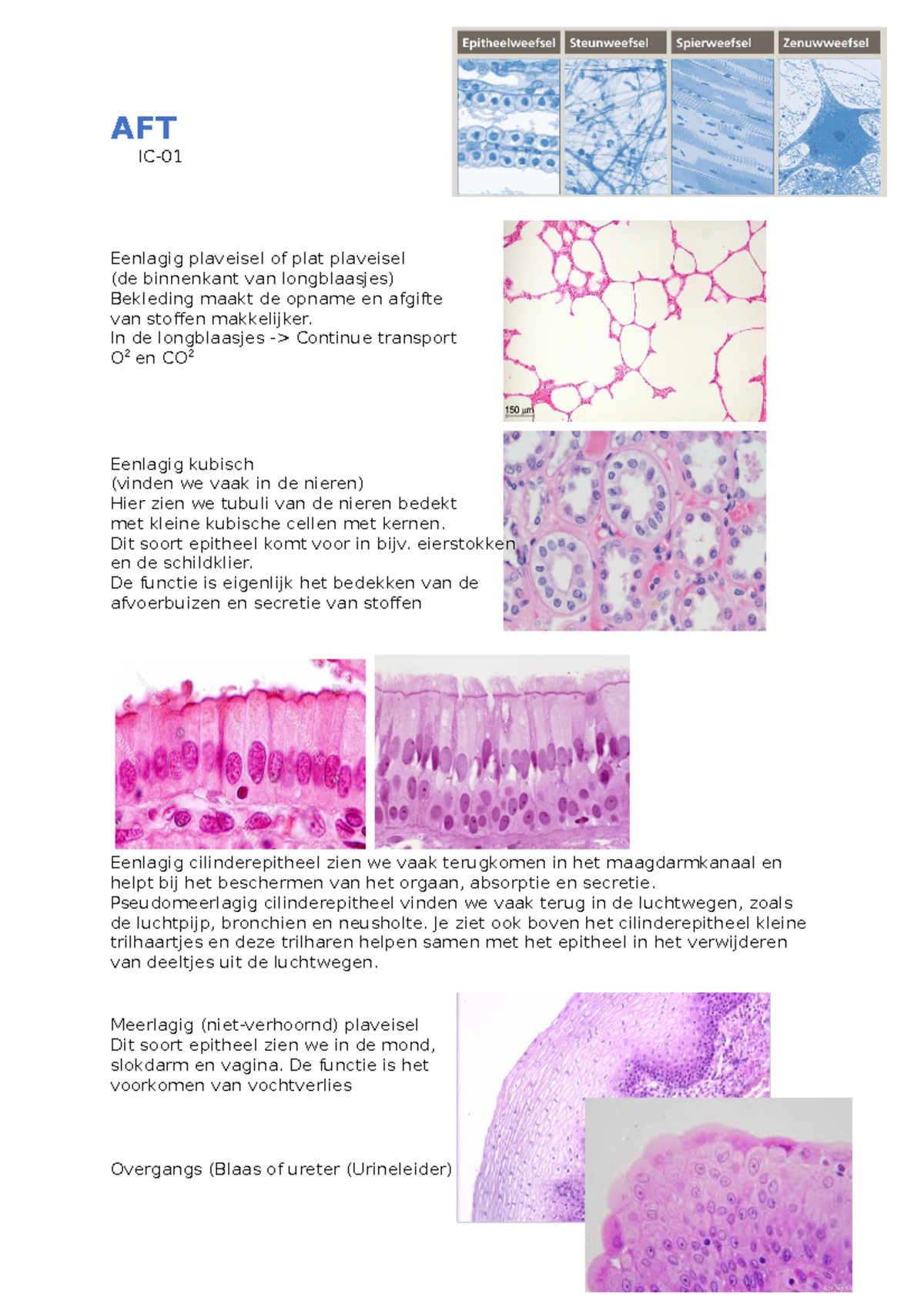B07AFT - AFT IC- Eenlagig plaveisel of plat plaveisel (de binnenkant ...