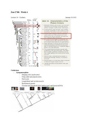 Model Earthworm Model Structure and Function table - Structure Function ...