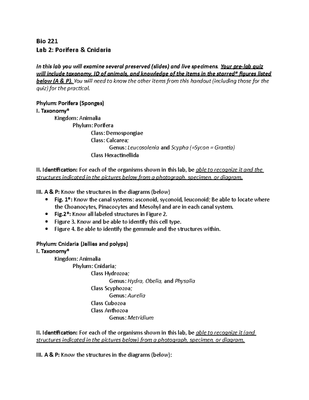 Zoology lab handout 2-1 (2022) - Bio 221 Lab 2: Porifera & Cnidaria In ...