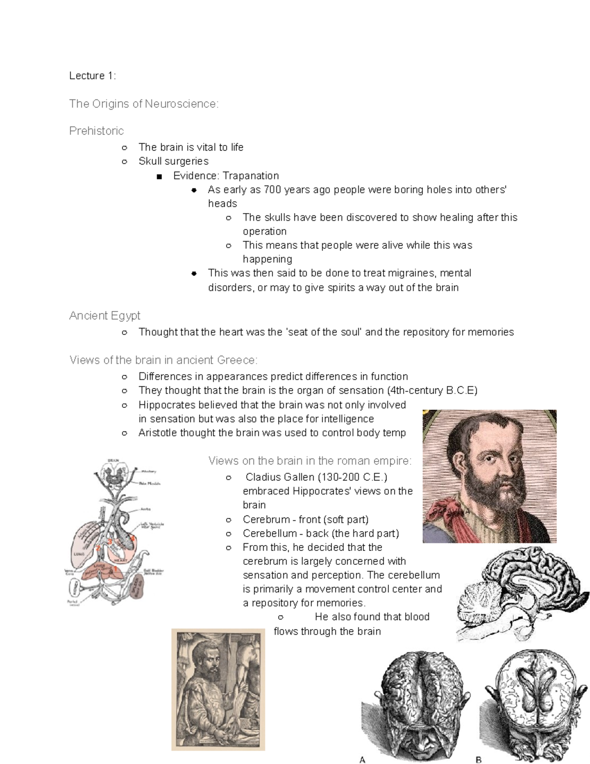 BIO 302 Lecture 1 - Fall 2022 - Lecture 1: The Origins of Neuroscience ...