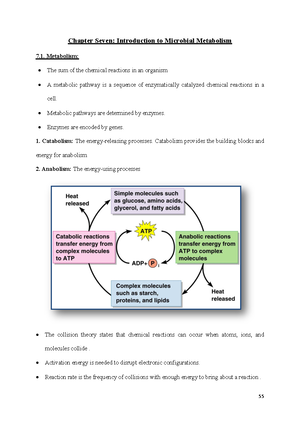 4 - Protein Purification and Characterization - Textbook Chapter ...