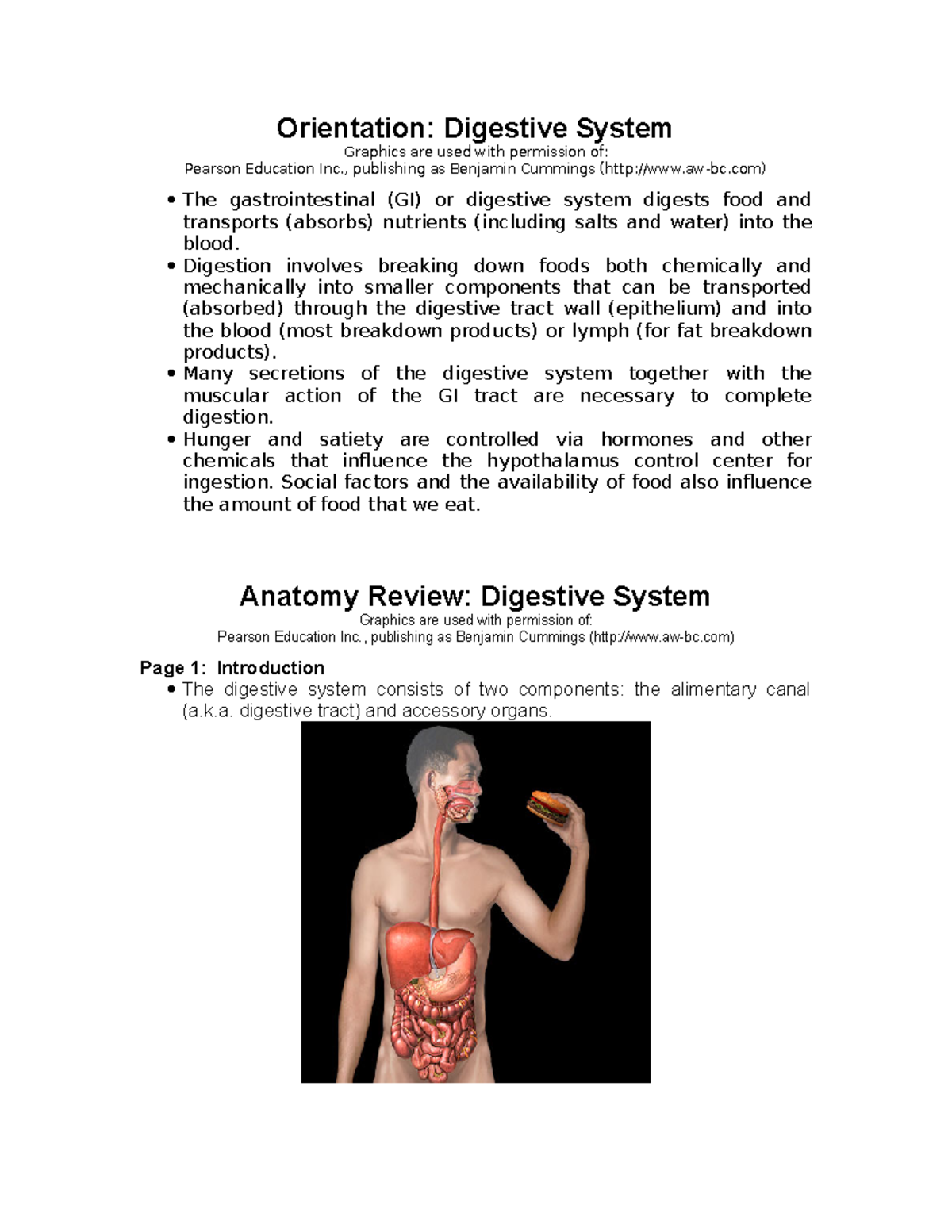 Anatomy Review - Orientation: Digestive System Graphics are used with ...