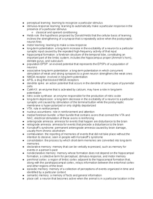 Neuroanatomy - Taught by Joshua Peck - neuraxis line: starts in the ...