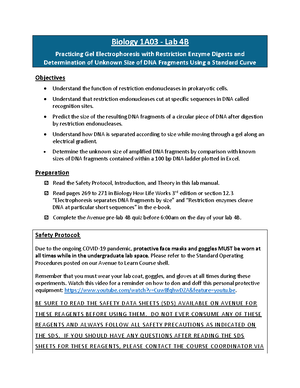 Formal Lab Report Bio1A03 F2021 - Biology 1A03 Formal Lab Report ...
