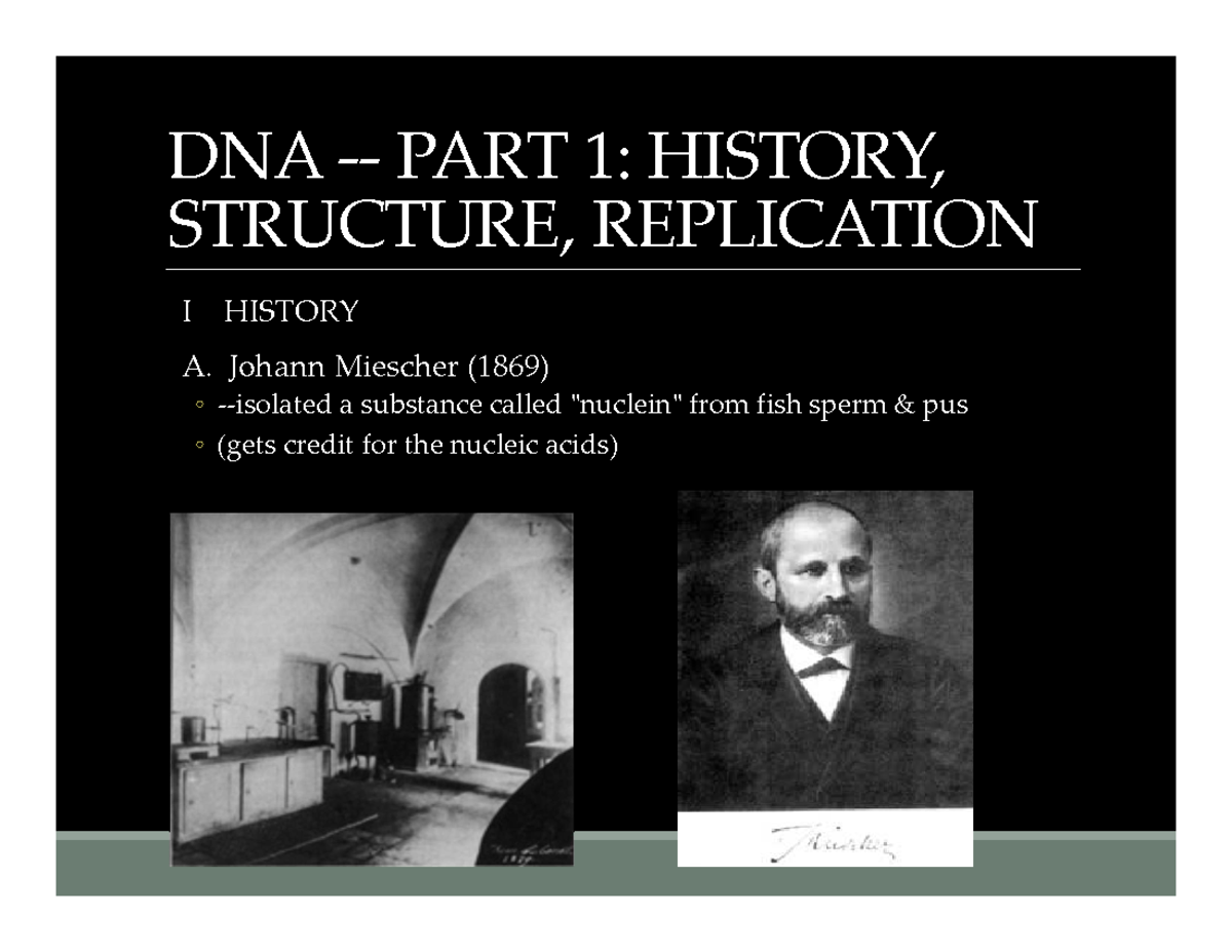 DNA history structure replication ppt - Warning: TT: undefined function ...