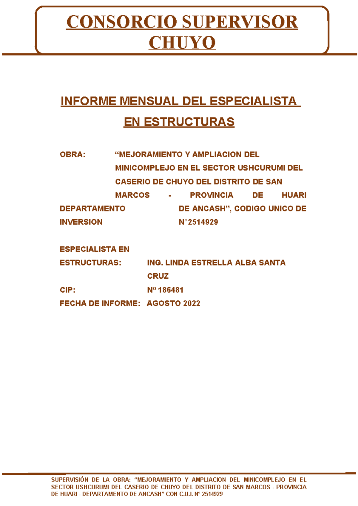 informe estructura - CHUYO INFORME MENSUAL DEL ESPECIALISTA EN ...