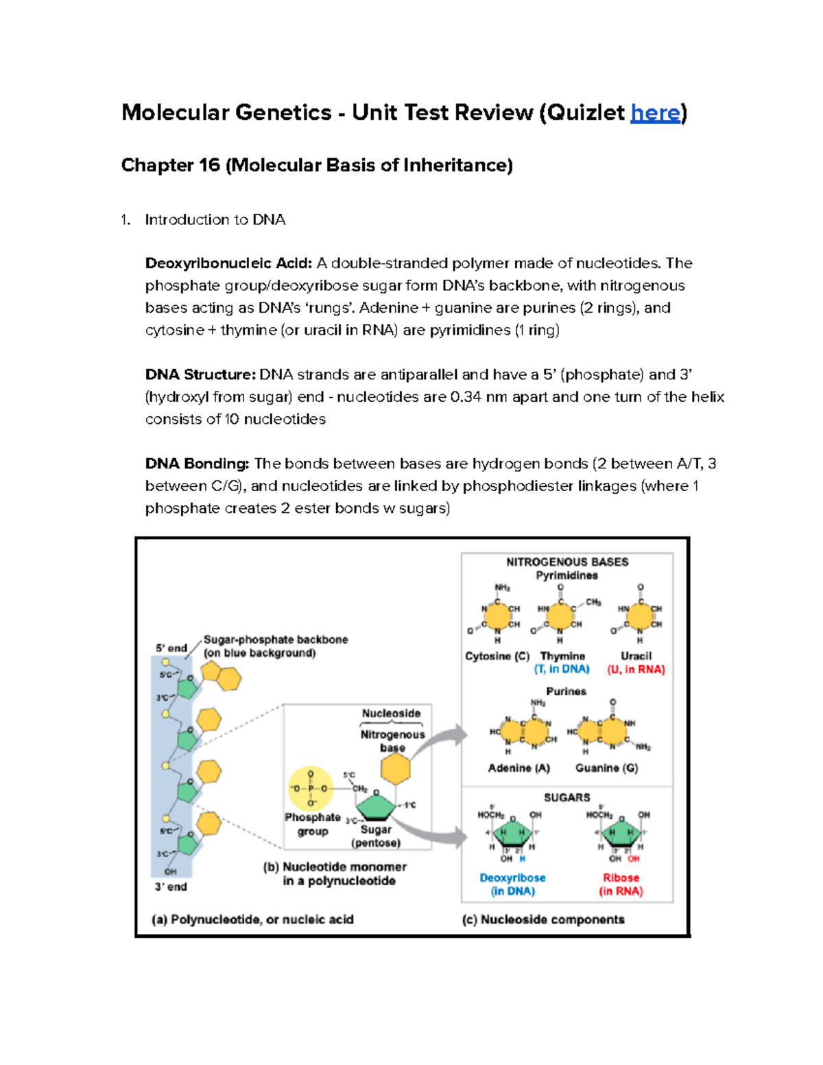 Molecular Genetics Test Review - Molecular Genetics - Unit Test Review ...