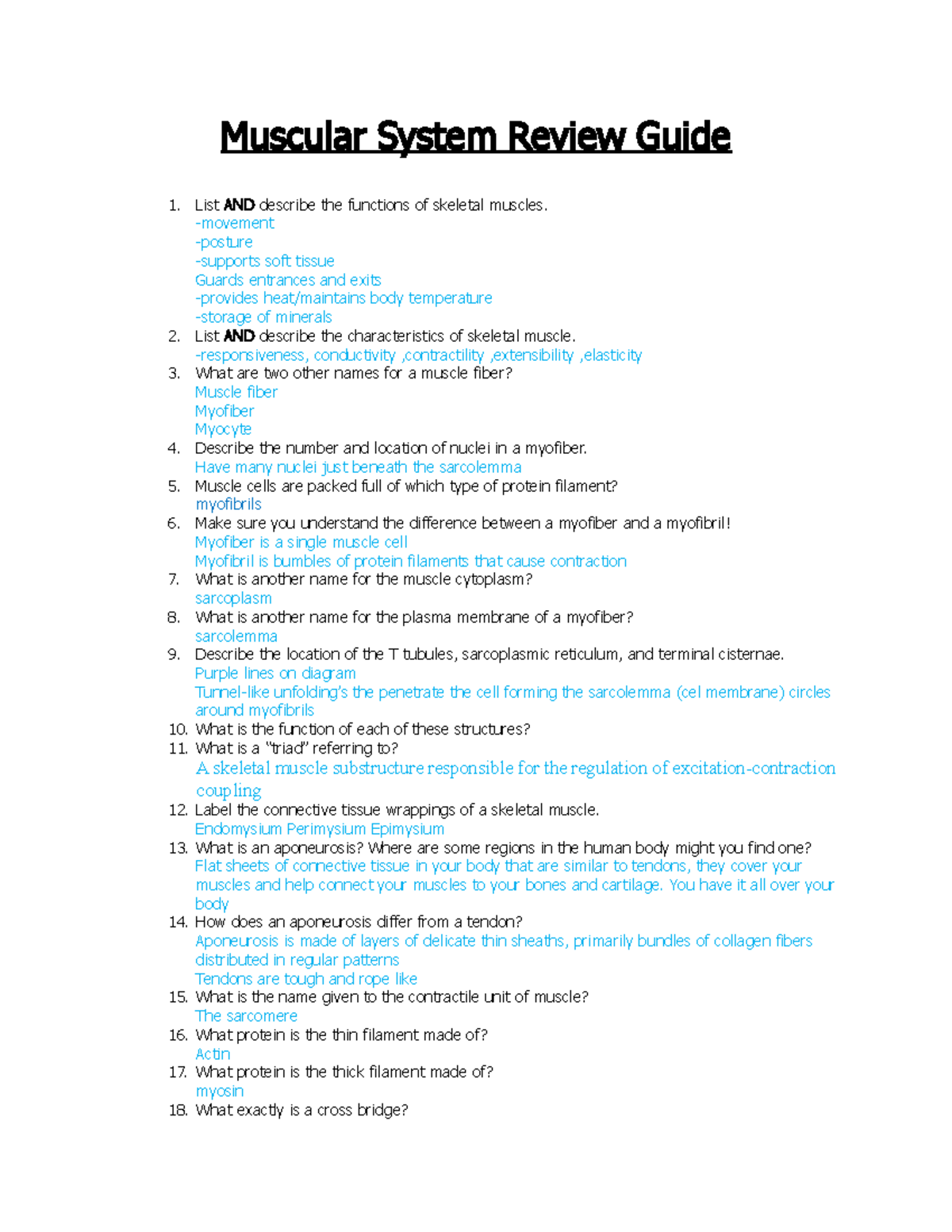 Muscular system review guide - Muscular System Review Guide List AND ...