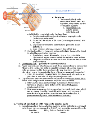 Lymphatic System Study Guide - LYMPHATIC SYSTEM FUNCTION: protection ...