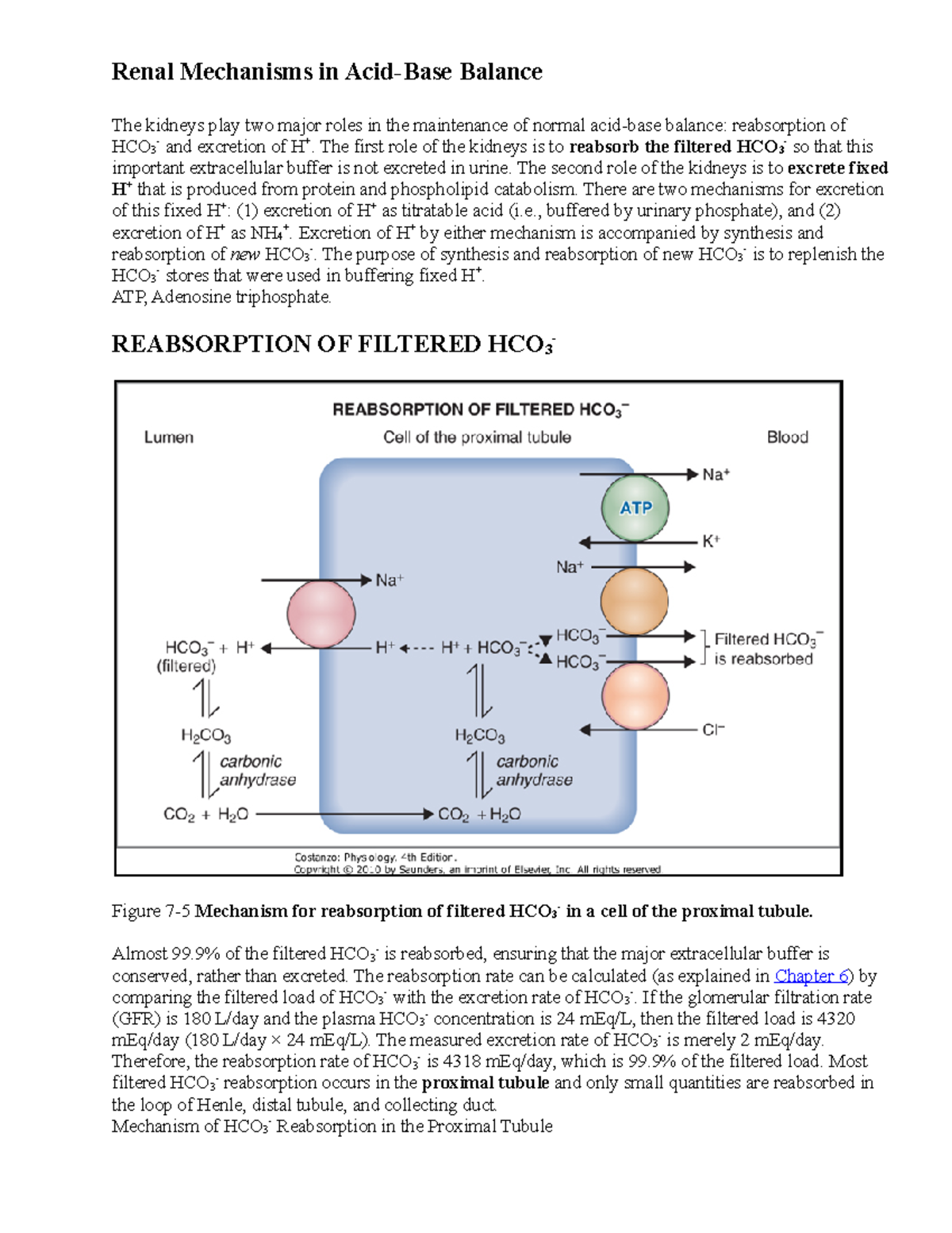 Acid-Base Chapter - Costanzo - Renal Mechanisms in Acid-Base Balance ...