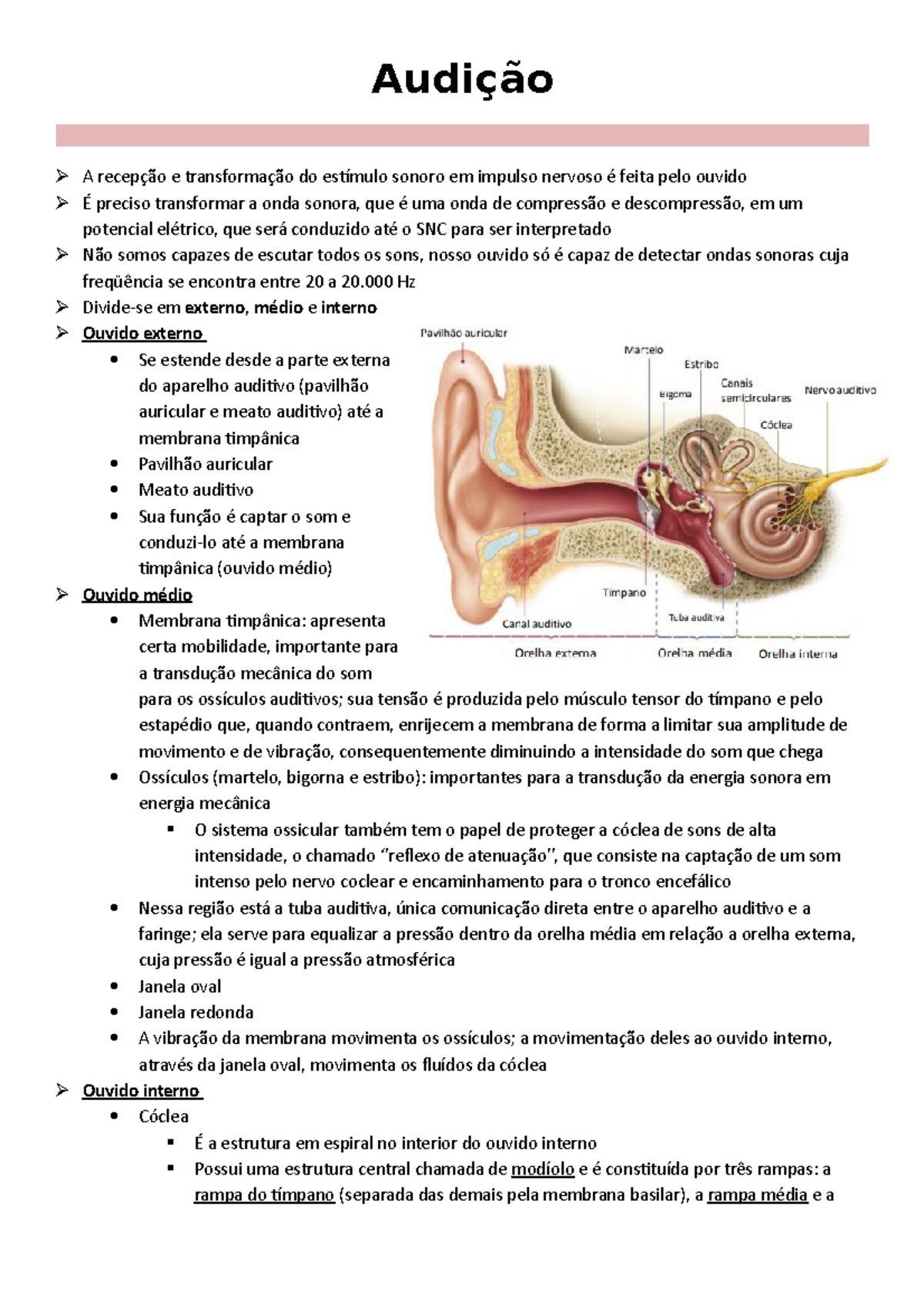 Audição - Aula completa do 4º semestre - Audição A recepção e ...