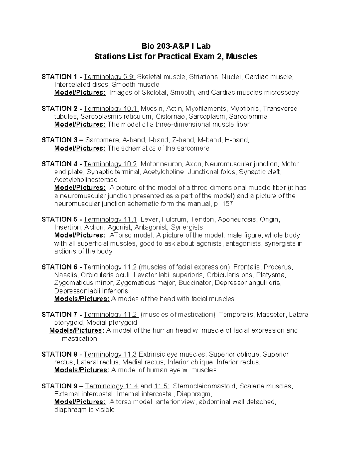 Practical Exam 2-List of stations - Bio 203-A&P I Lab Stations List for ...