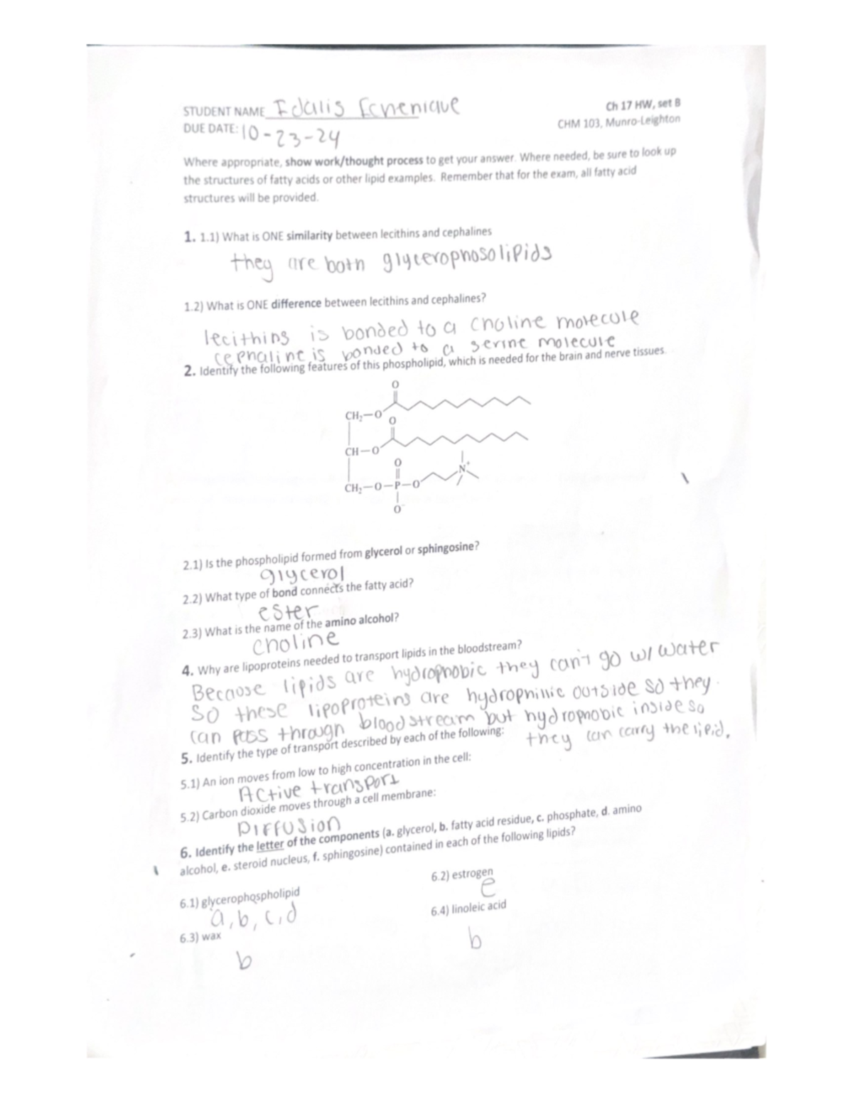 Ch 17 HW, set B - Good practice for chem - STUDENT NAME Idalis Echeniave Ch 17 HW, set B DUE ...