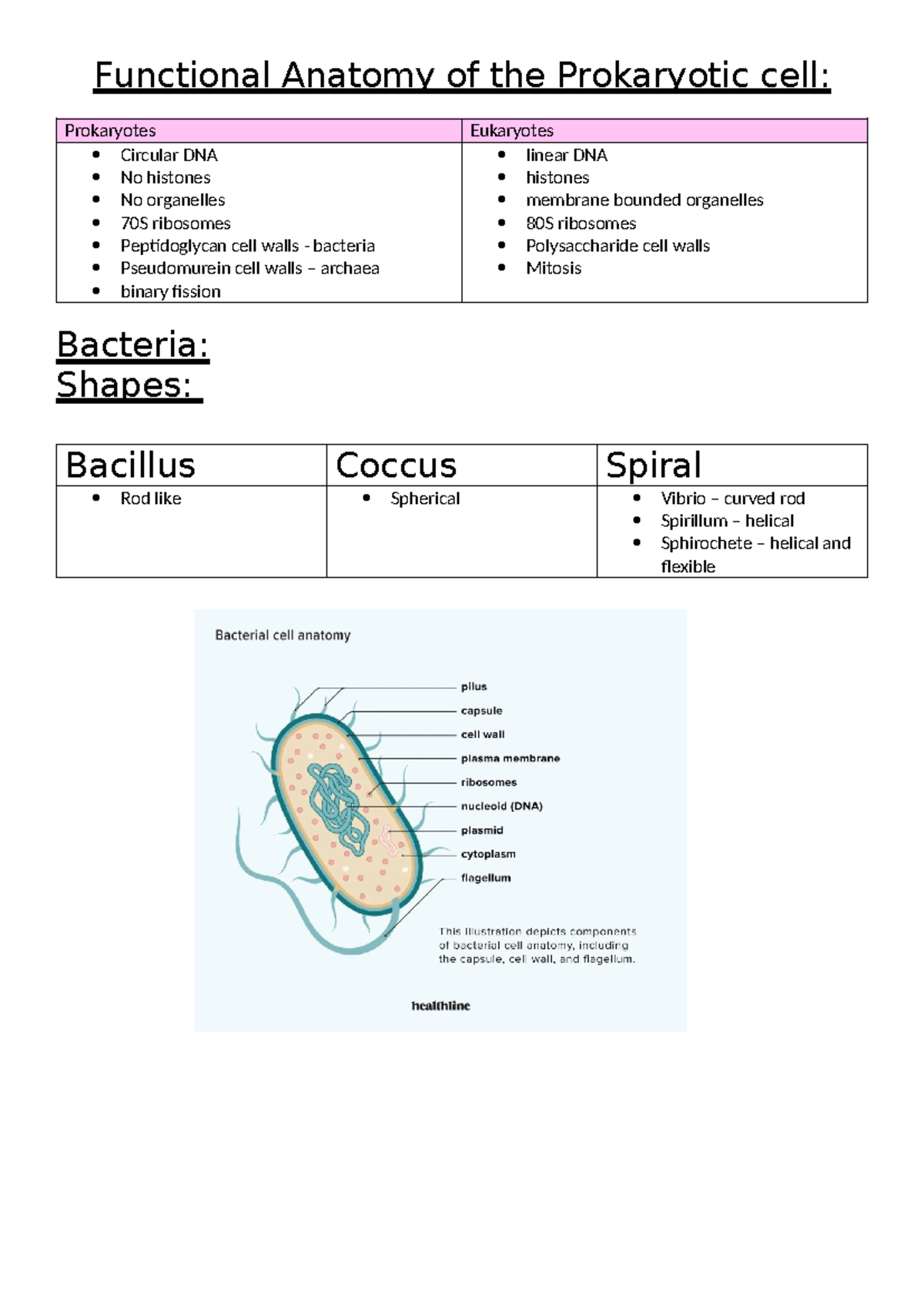 MBY 161 - Exam Notes - Summary Introduction to microbiology ...