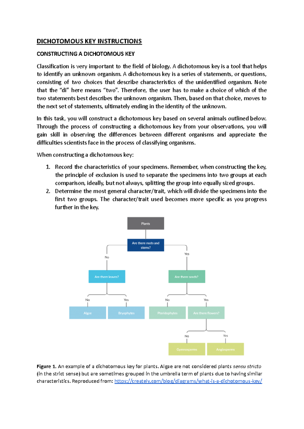 Dichotomous Key Instructions - DICHOTOMOUS KEY INSTRUCTIONS ...