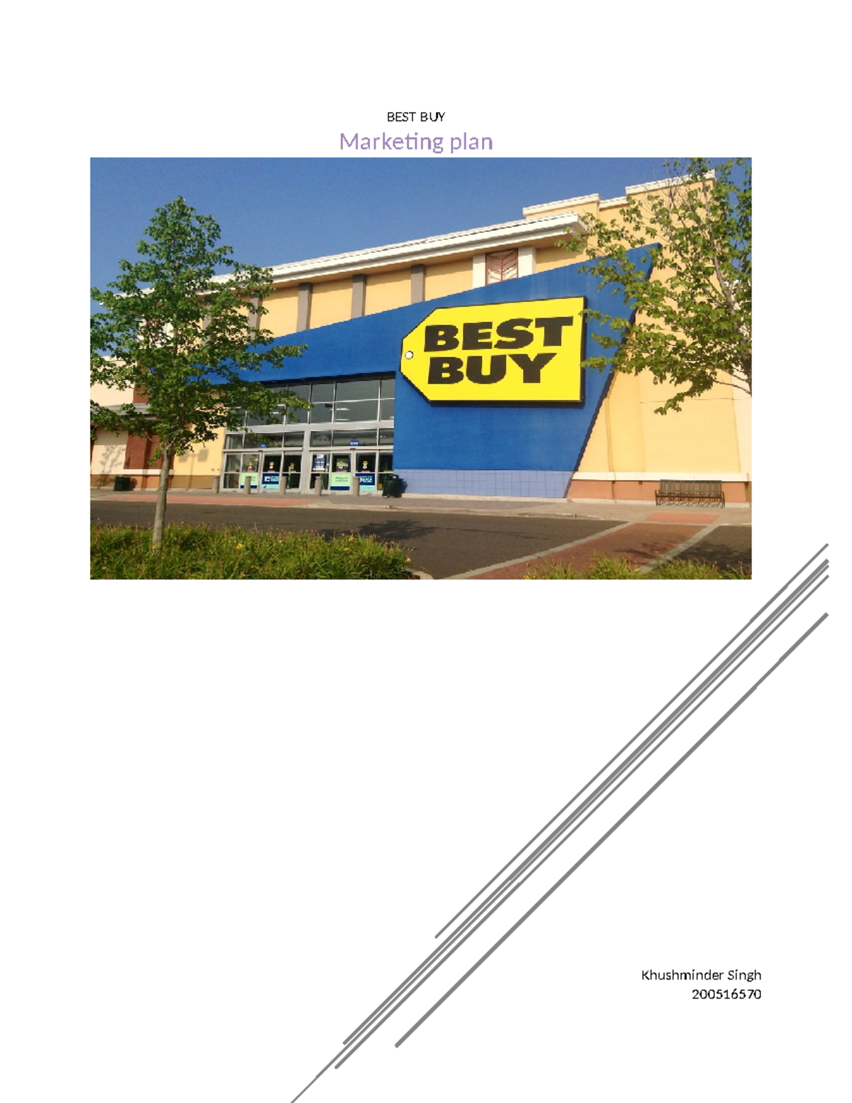 Best Buy marketing plan - Khushminder Singh BEST BUY Marketing plan ...