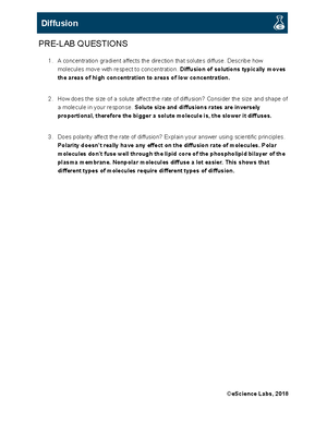 Osmosis Experiment Lab Report - Osmosis and Experiment: Potato Strips ...