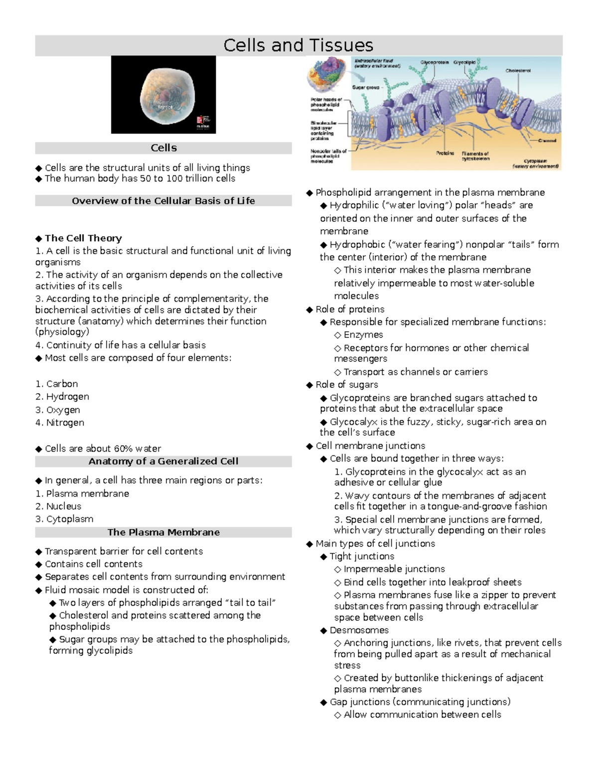 Cells and tissues - Cells Cells are the structural units of all living ...