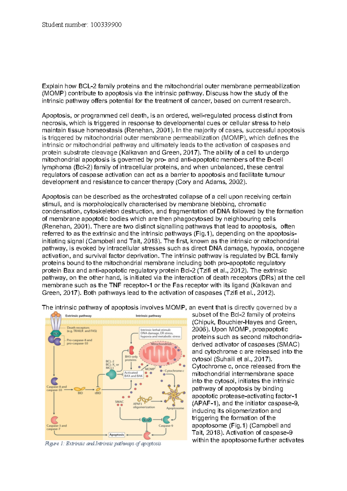 Essay apoptosis - Explain how BCL-2 family proteins and the ...