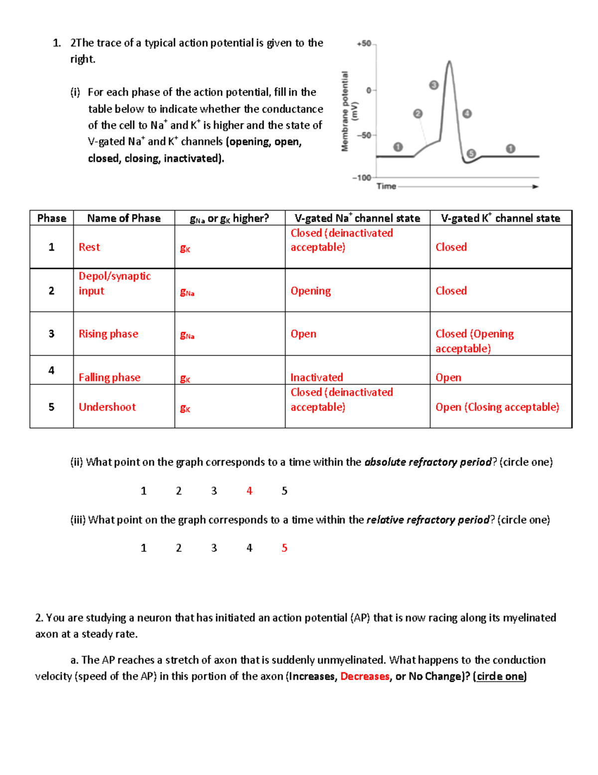 Lab Problem Set #2 answer key - 2 The trace of a typical action potential is given to the right ...