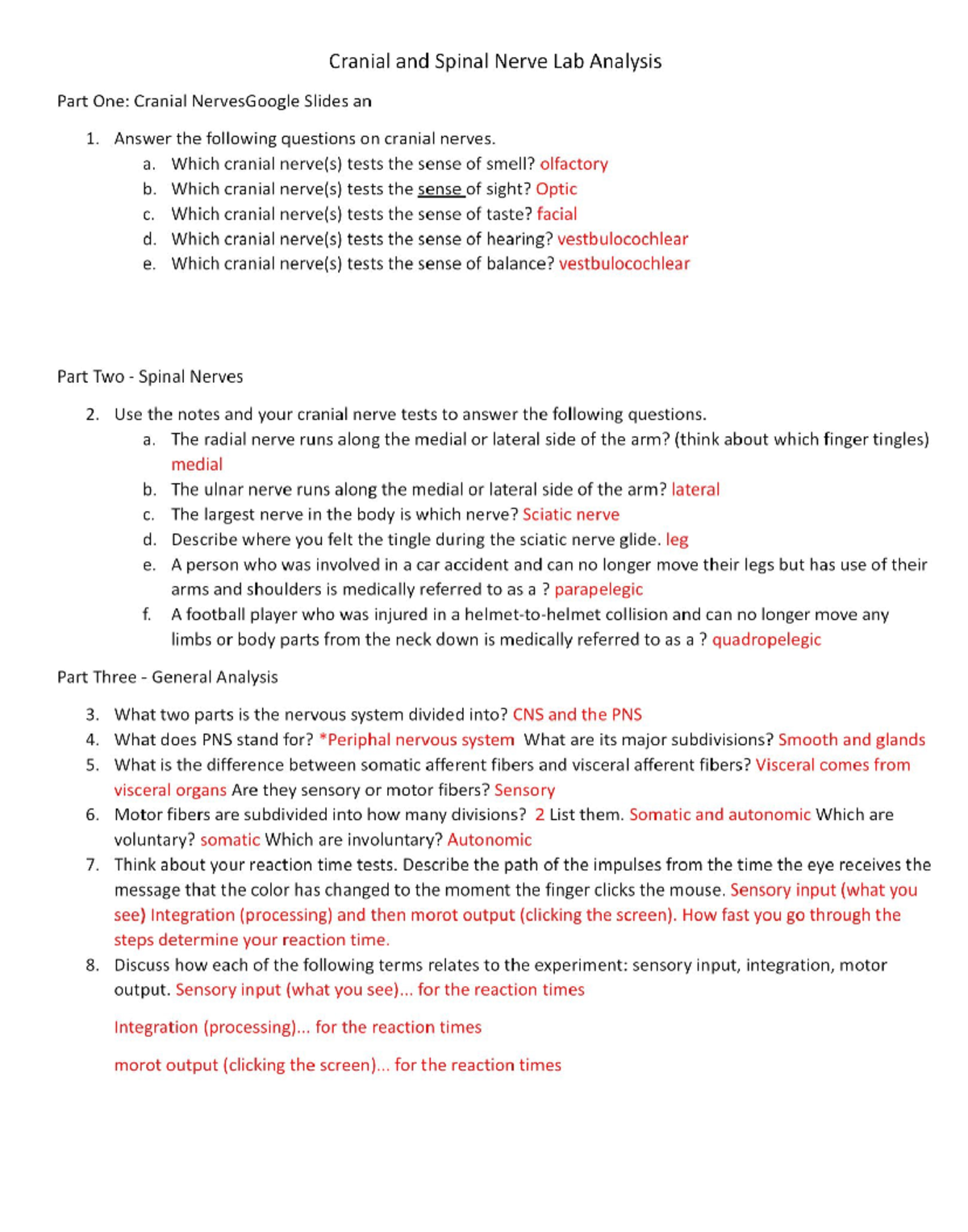Cranial and spinal nerve lab - BIO 2451 - Studocu