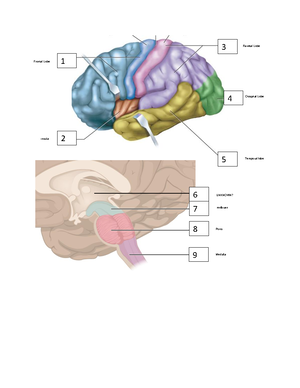 [Solved] This is similar to Try It 3 in the OpenStax text Complete the - intermediate alegbra ...
