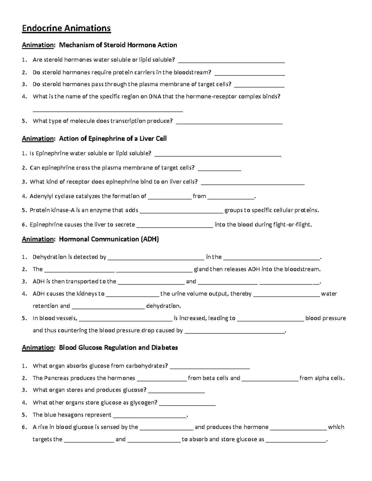 Endocrine Animations - animation - Endocrine Animations Animation ...