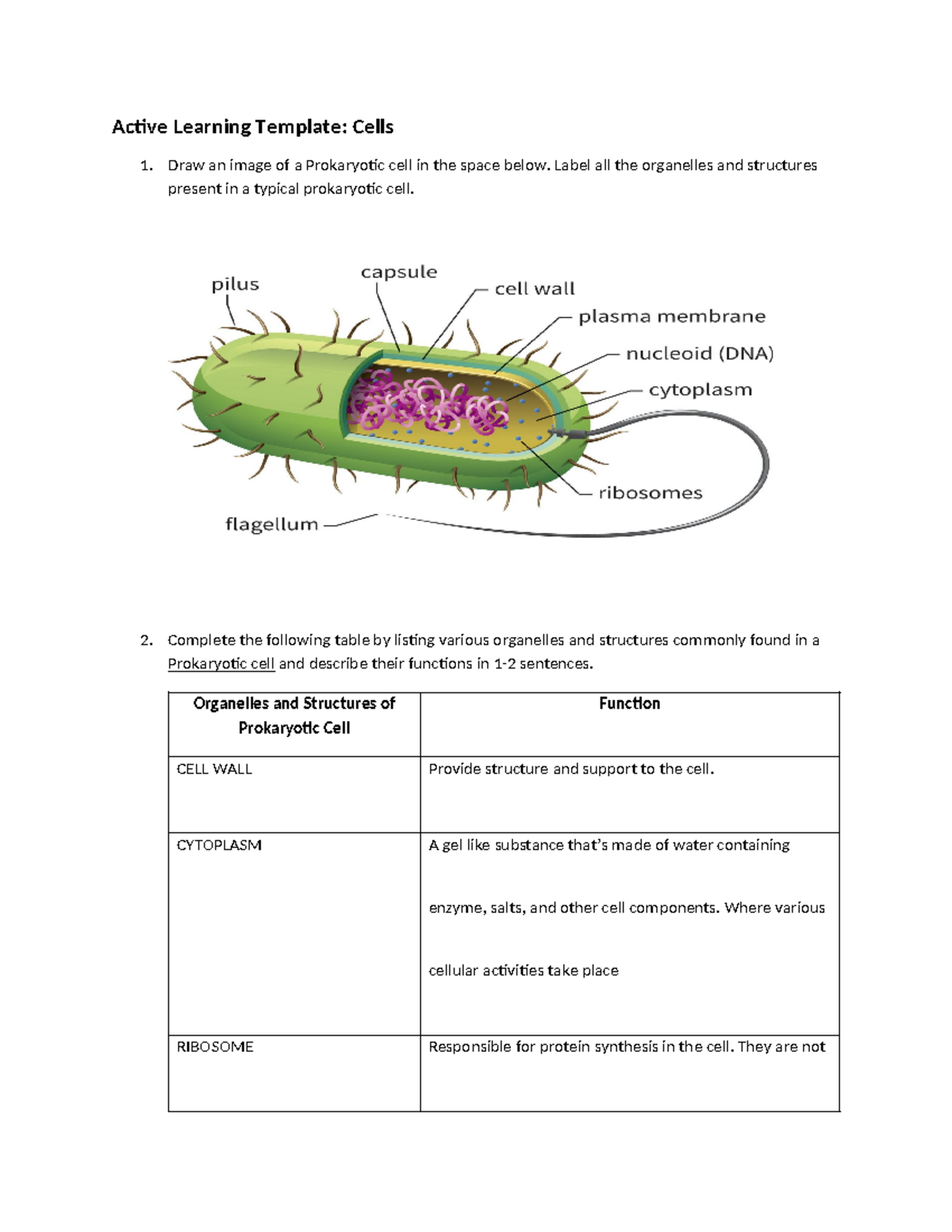 WK 2 Cells ALT - week 2 worksheet - Active Learning Template: Cells ...