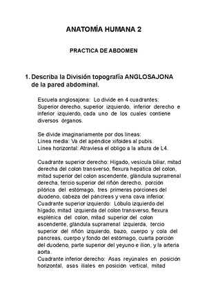 Manual de Anatomia Humana 2a edicion 2021 a131496 - Manual de Anatomía ...