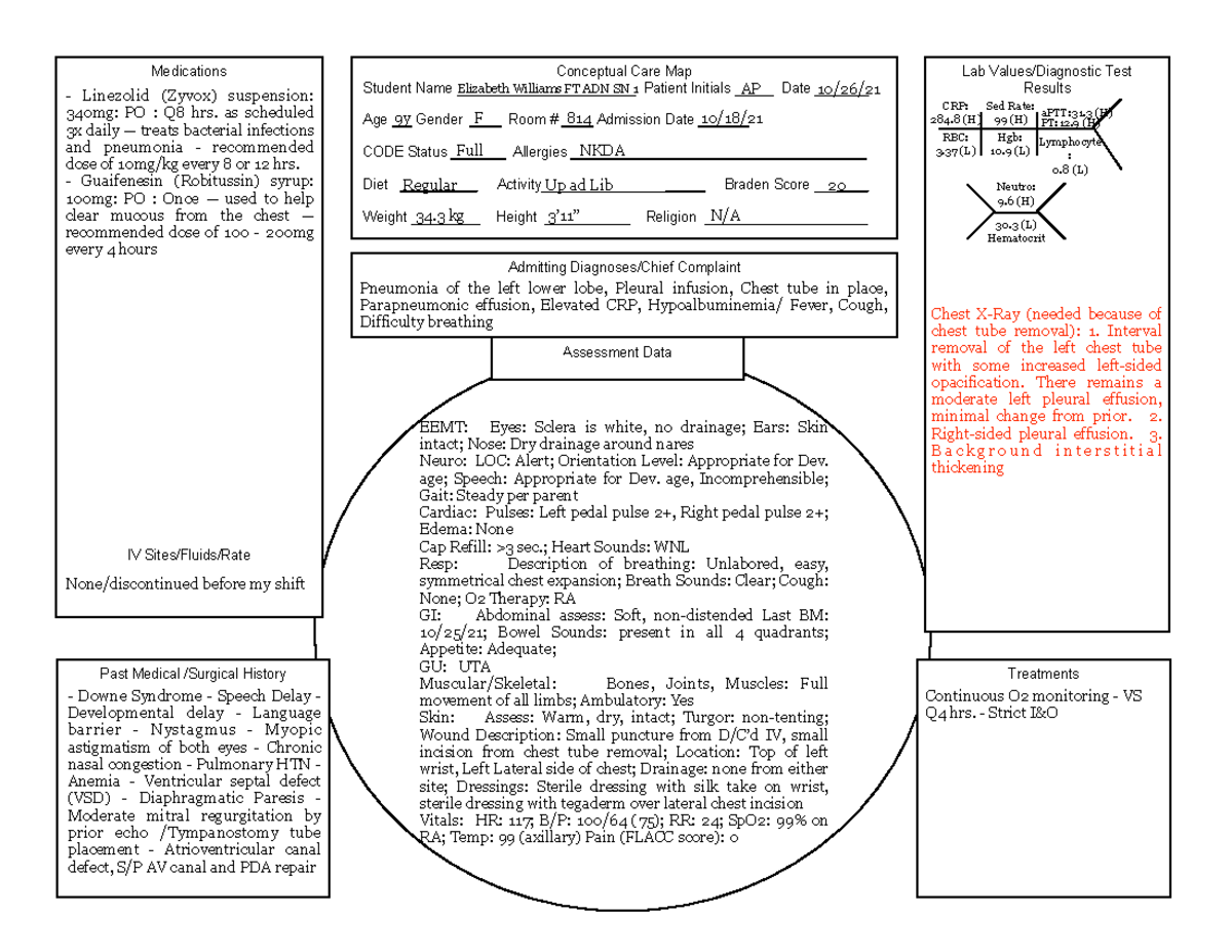 10 26 2021 Blank Conceptual Care Map Handout Concept Mapping I Webinar ...