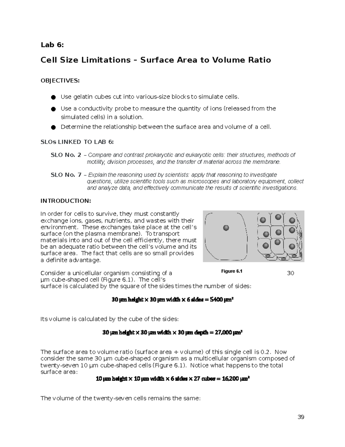 Lab 6-Cell Size Limitations (1) - Lab 6: Cell Size Limitations ...
