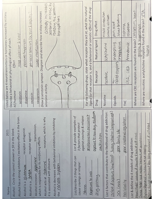 PSB EXAM 3 - Exam 3 notes - STUDY GUIDE – EXAM 3 Chapter 6: Hearing and ...