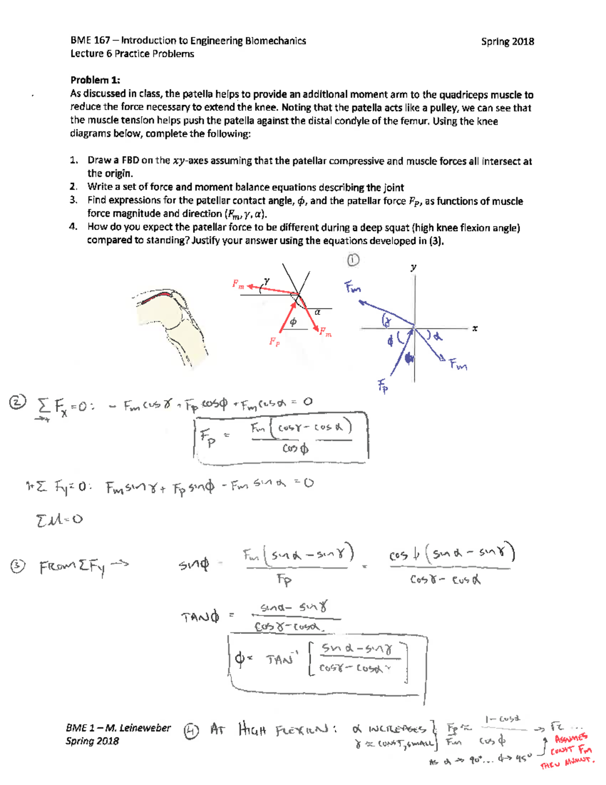Lecture 6 - Practice Problems - Solution - BME 167 — Introduction to ...