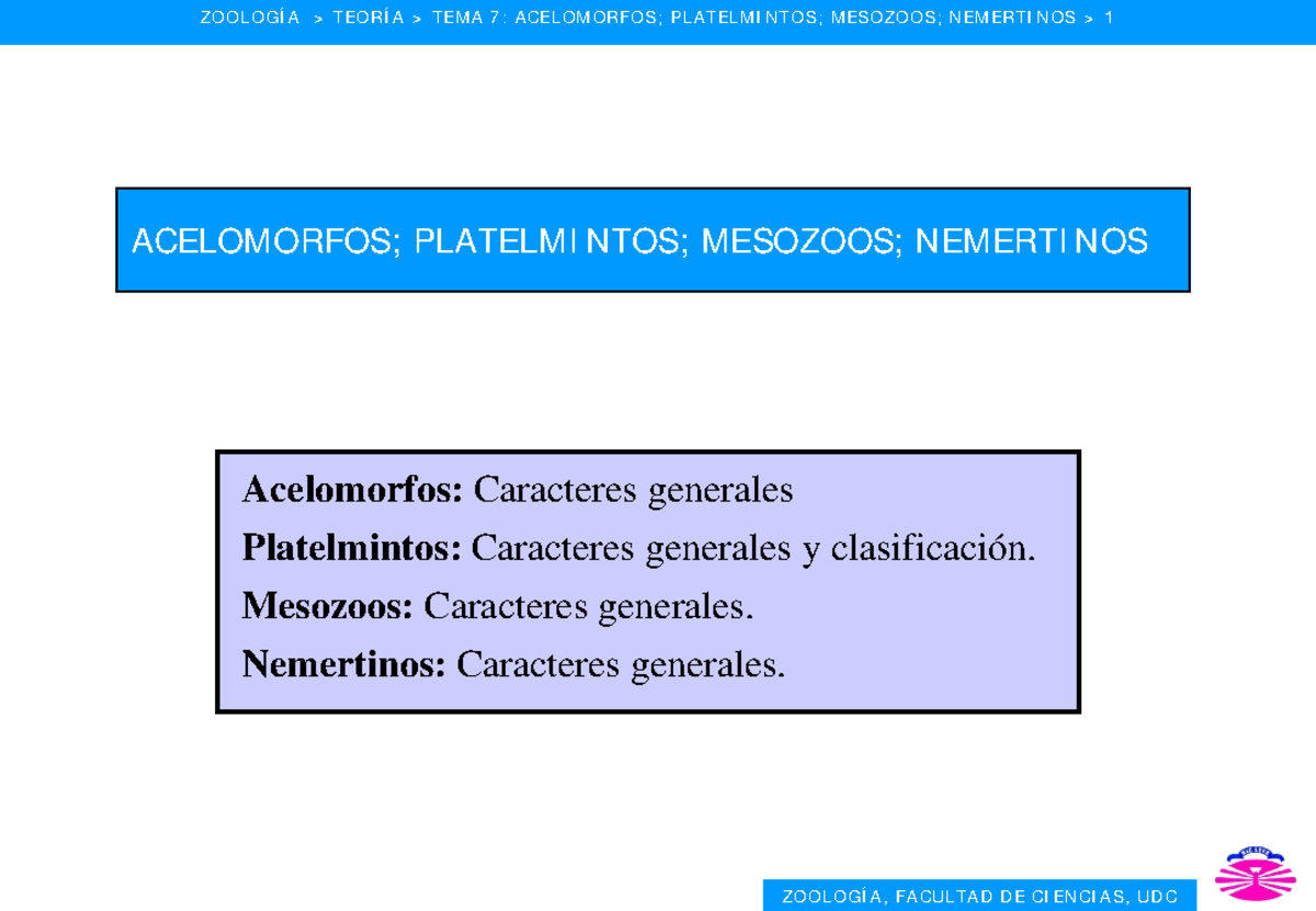 Tema 7 - Acelomorfos; Platelmintos; Mesozoos; Nemertinos 17-18 ...