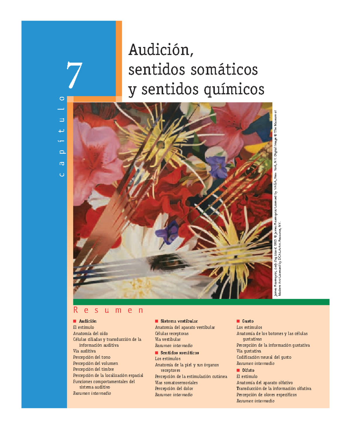 Fisiología de la Conducta-Audición, gusto, olfato, somestesia - R e s u ...