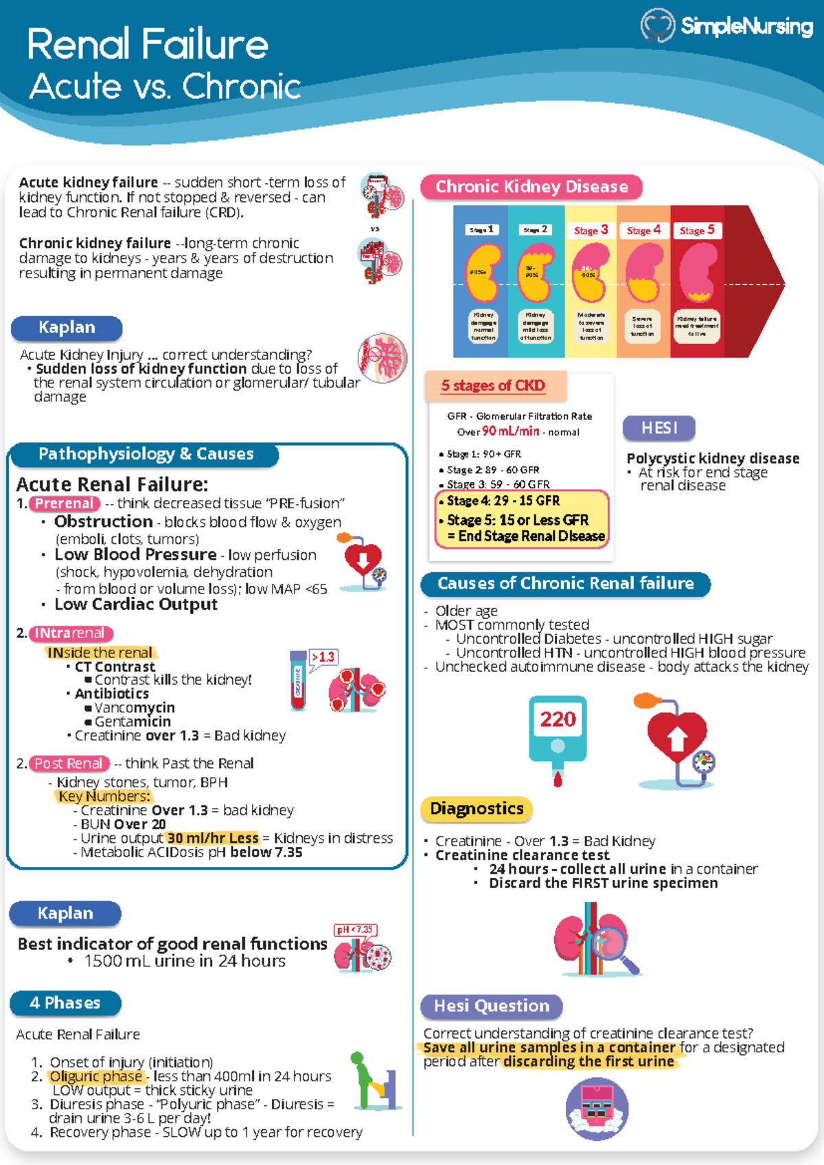 Renal Failure vs. Chronic 1 - Acute vs. Chronic Renal Failure Acute kidney failure - sudden ...