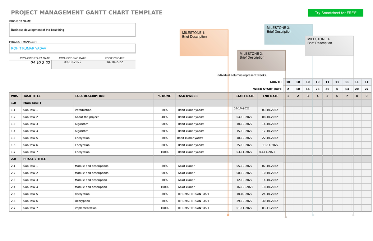 Project Management Gantt Chart Template - PROJECT MANAGEMENT GANTT ...