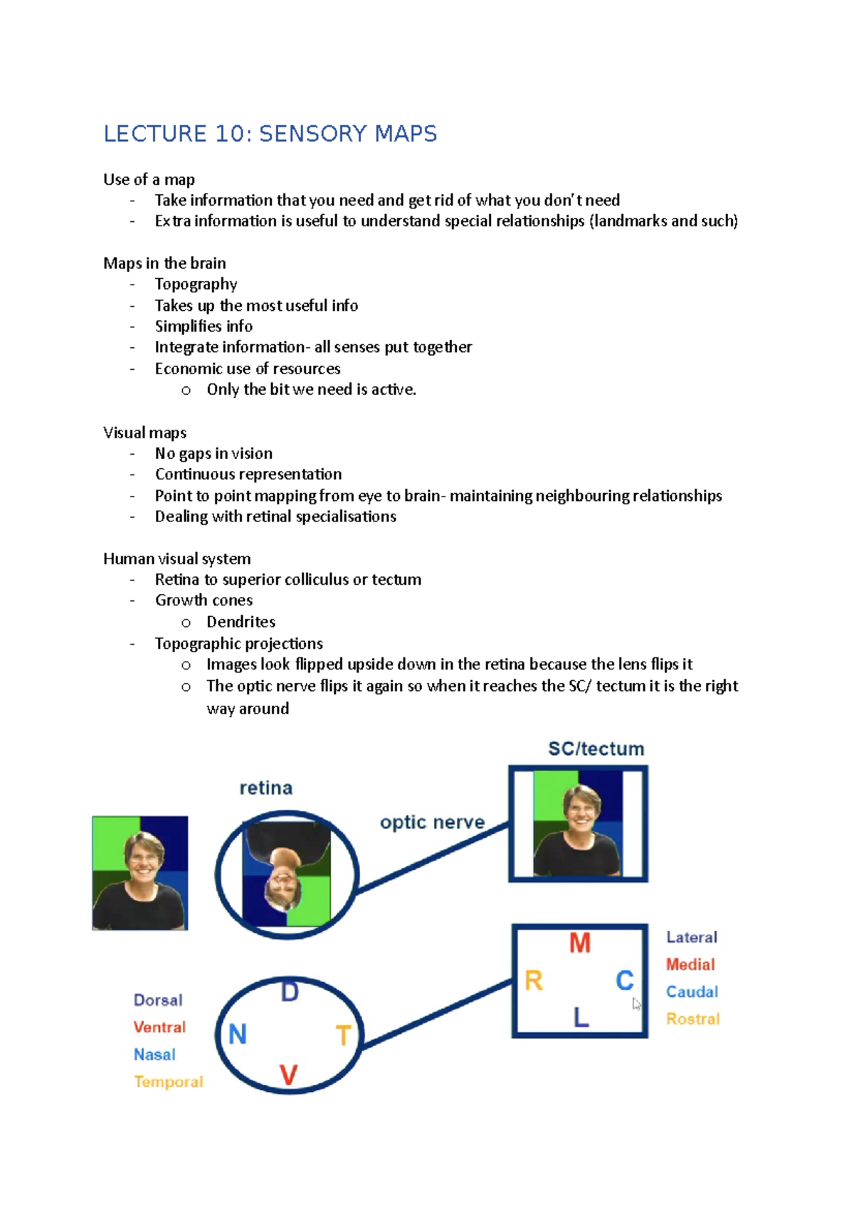 Lecture 10 - LECTURE 10: SENSORY MAPS Use of a map - Take information ...