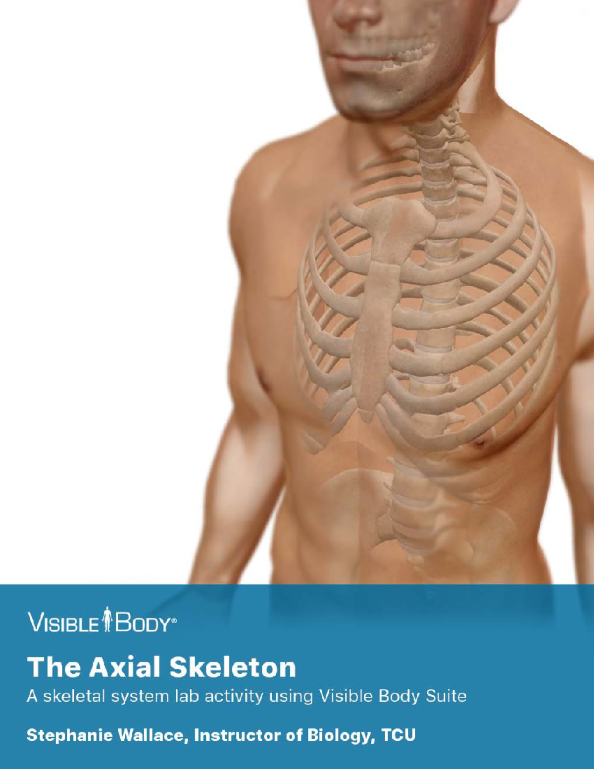 Lab manual axial skeleton atlas Complete - PRE-LAB EXERCISES When ...
