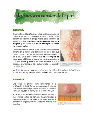 Fotodermias Lopez Velazquez Ana - FOTODERMIAS SinÛnimos: Prurigo solar ...