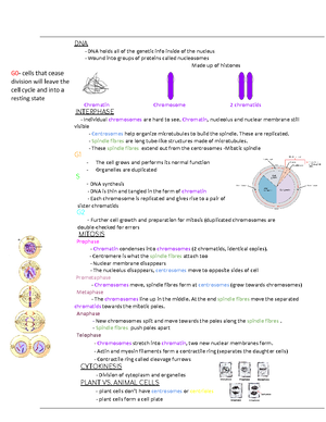 Genetics- Grade 11 - Genetics The science that studies how genes are ...