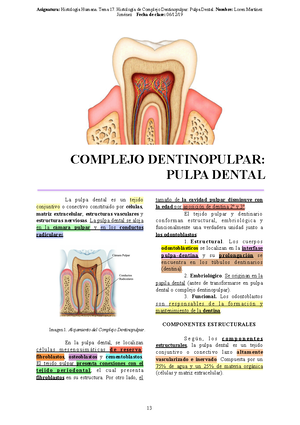 Tema 19. Histología del Esmalte - clase: 13/12/ GENERALIDADES Y ...