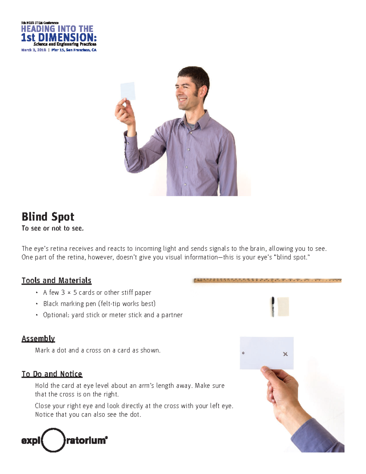 Blind spot exp - Blind Spot To see or not to see. The eye’s retina ...