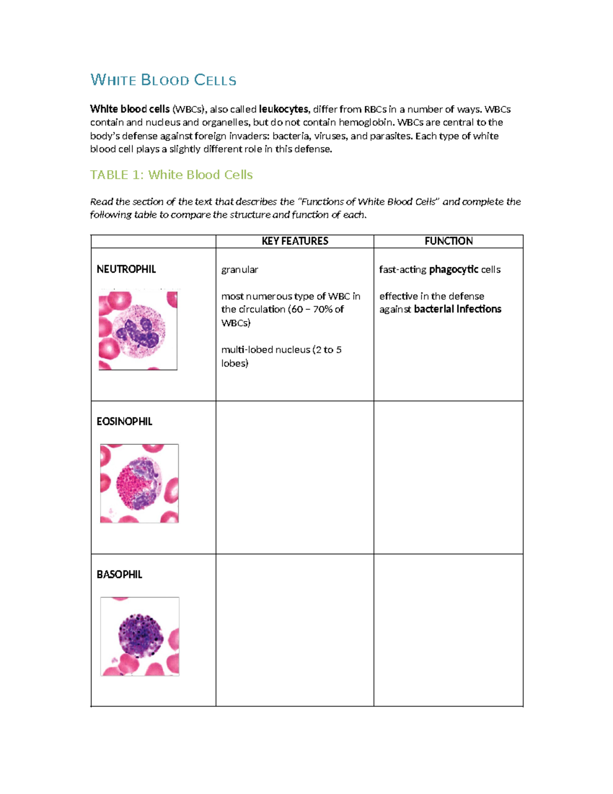 White Blood Cells - W HITE B LOOD C ELLS White blood cells (WBCs), also ...